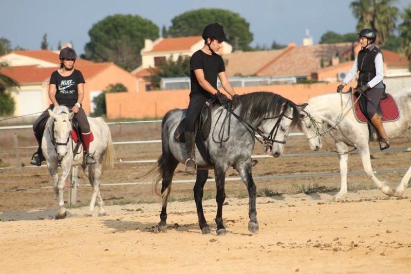 Club - Le Cheval Andalou